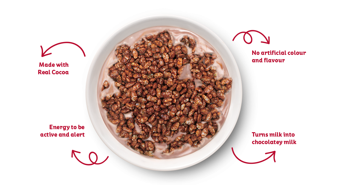Kellogg's Coco Pops 190g [3070]